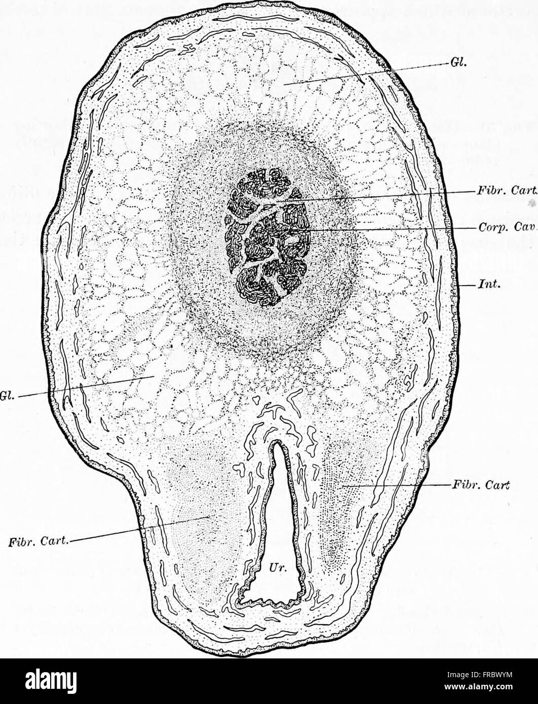 1922 letter Black and White Stock Photos & Images - Alamy