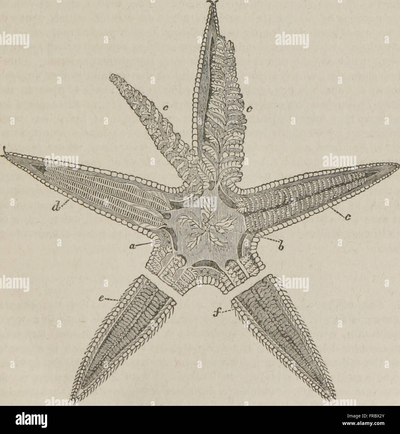 This 1843 text on human physiology outlines the key principles of ...