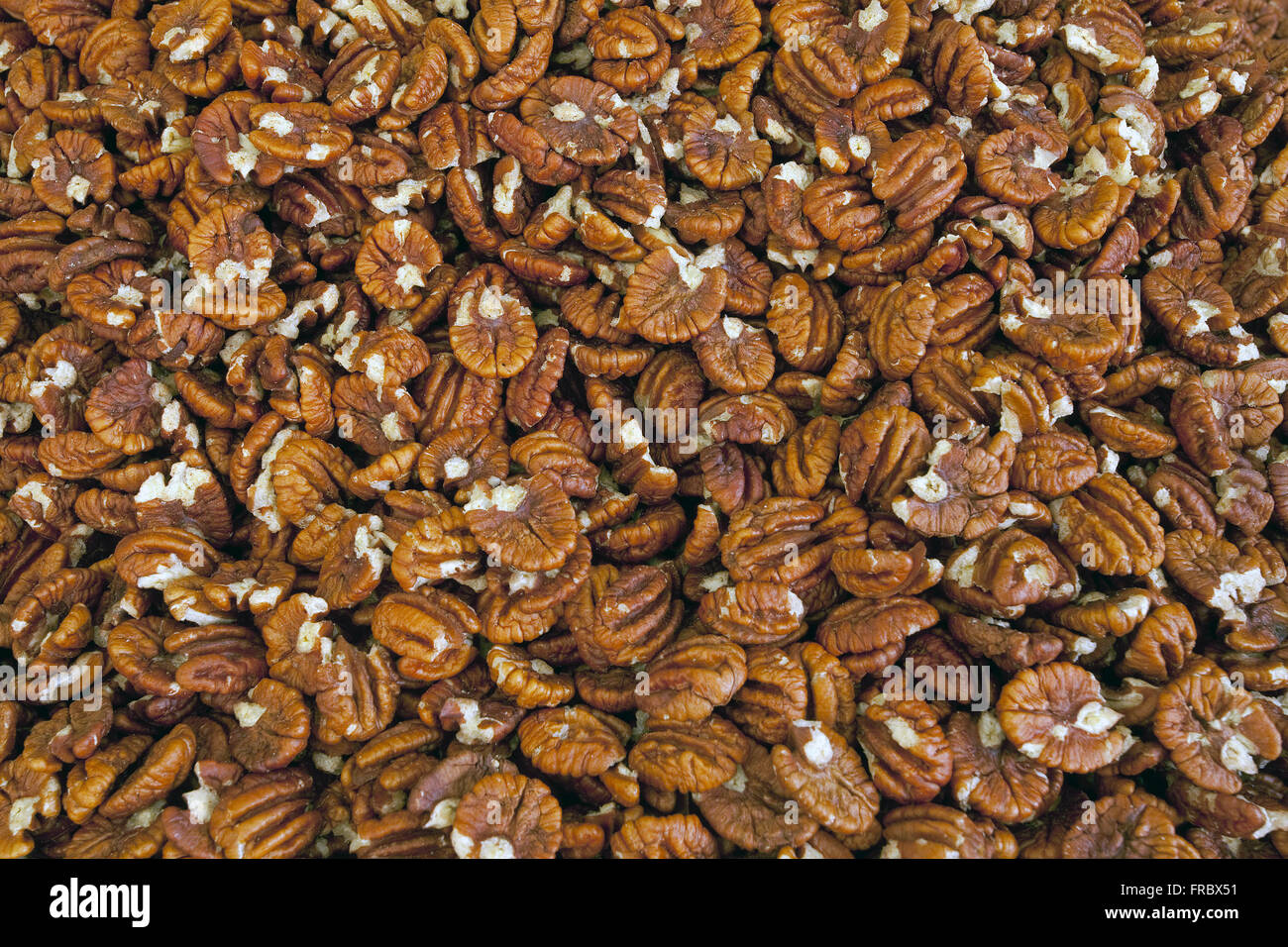 Walnuts or pecan piece selected for commercialization Stock Photo - Alamy