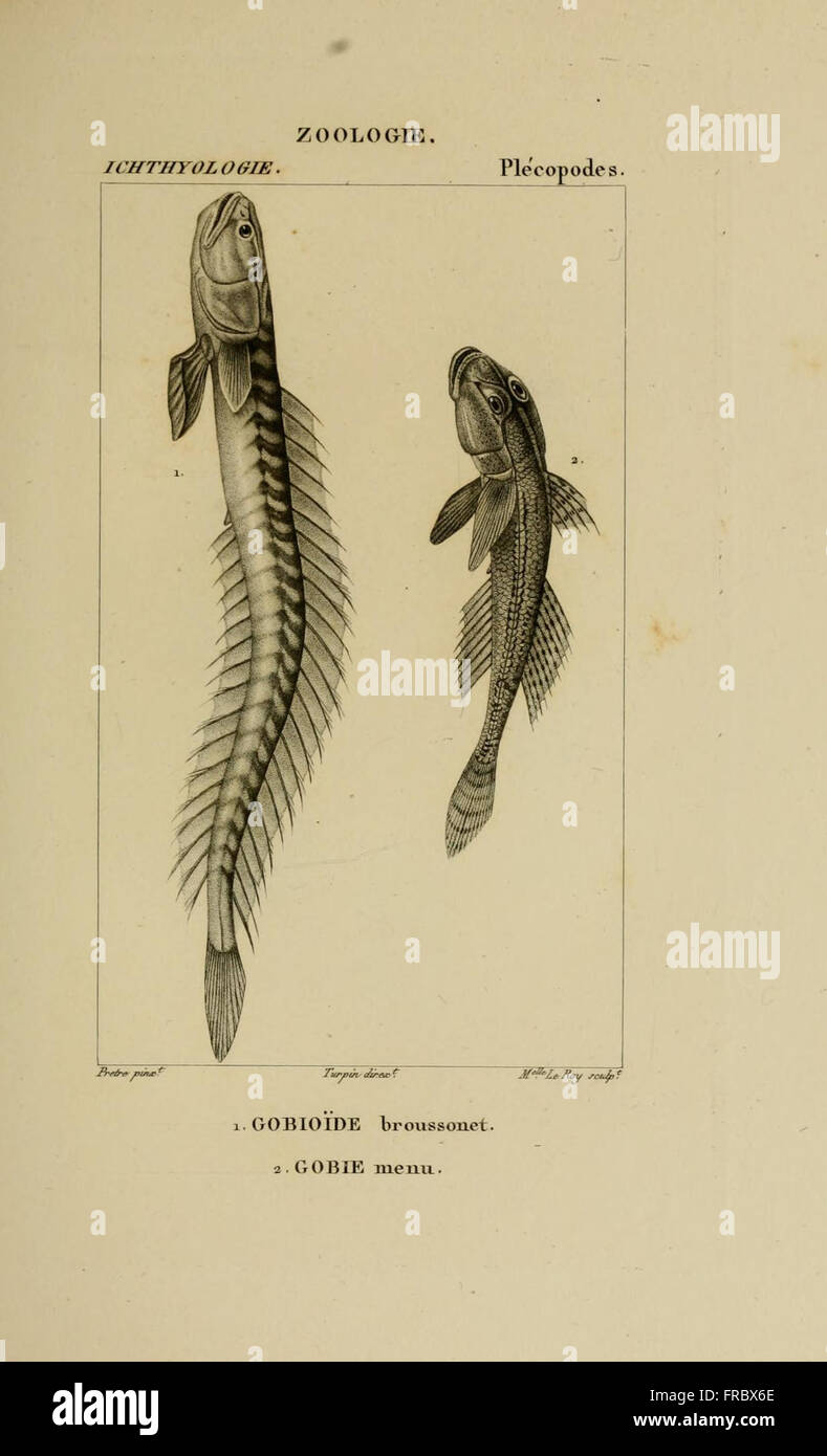 This volume from the 'Dictionnaire des sciences naturelles' provides ...