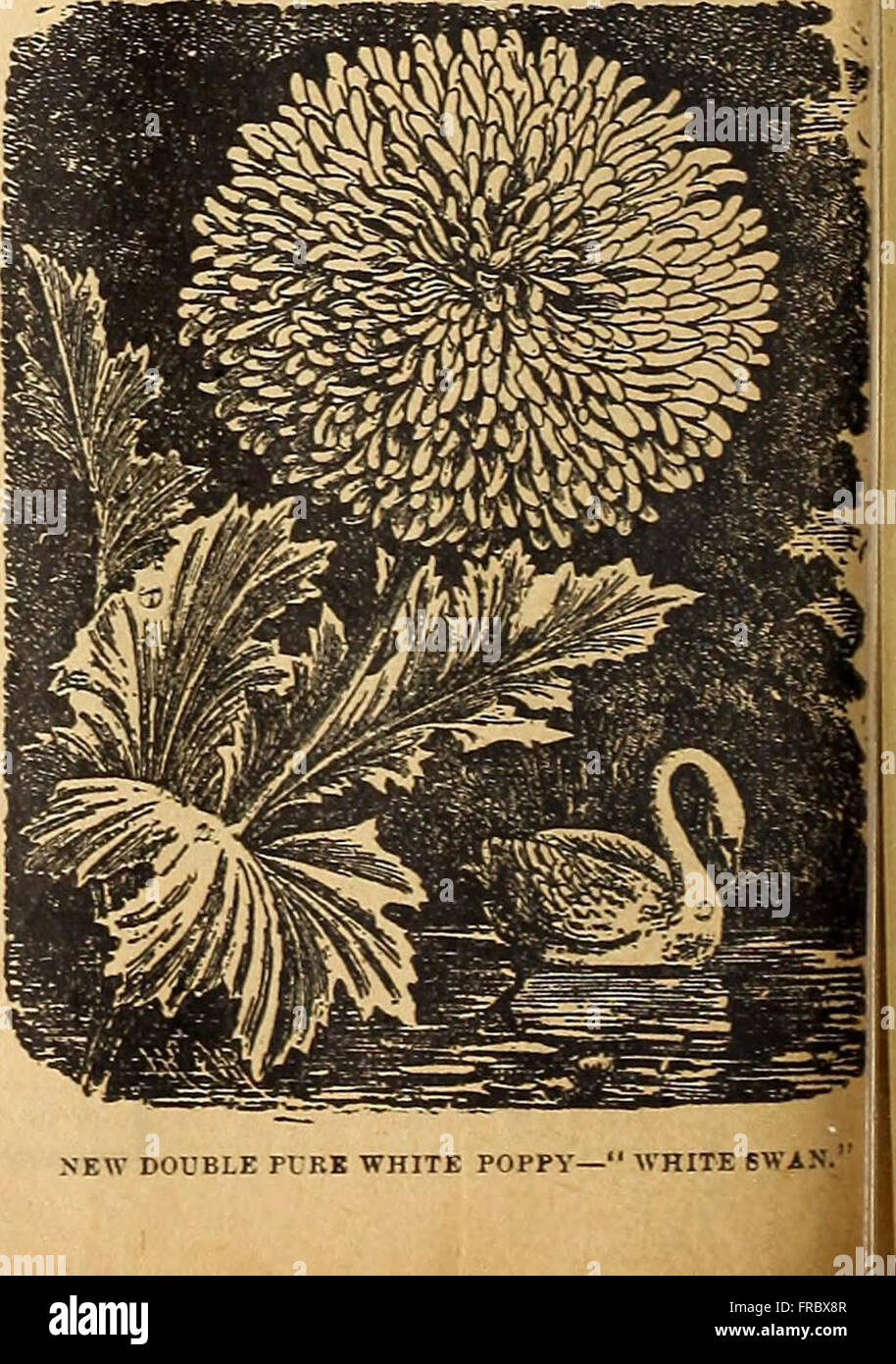 The 'Spring 1897 Horticultural Guide' provides practical advice on ...