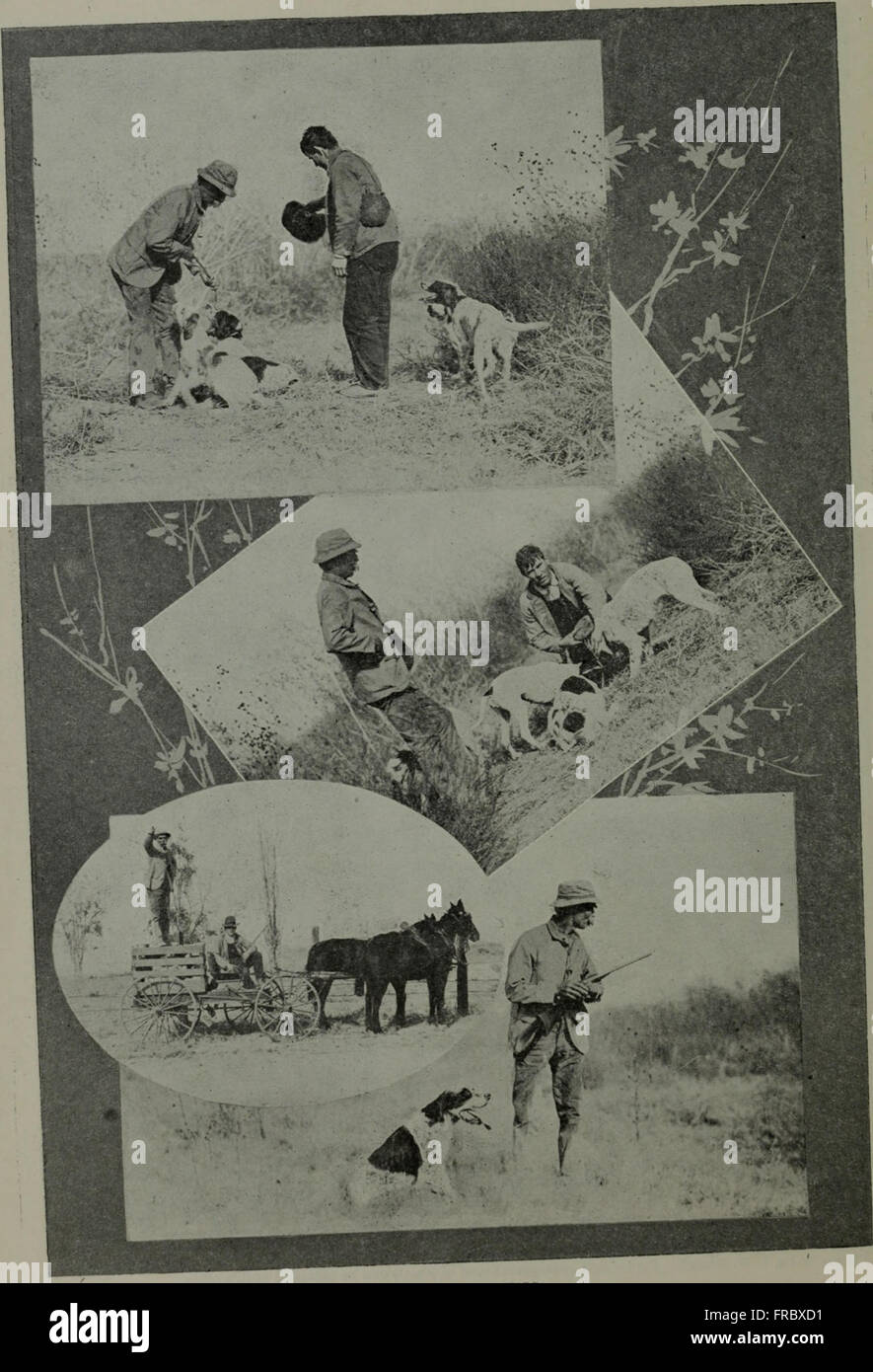 Western Field, published in 1905, is a periodical featuring various ...