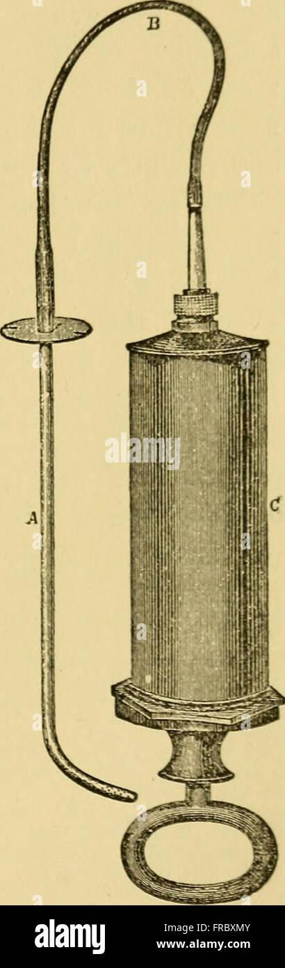 Genito urinary system hi-res stock photography and images - Alamy