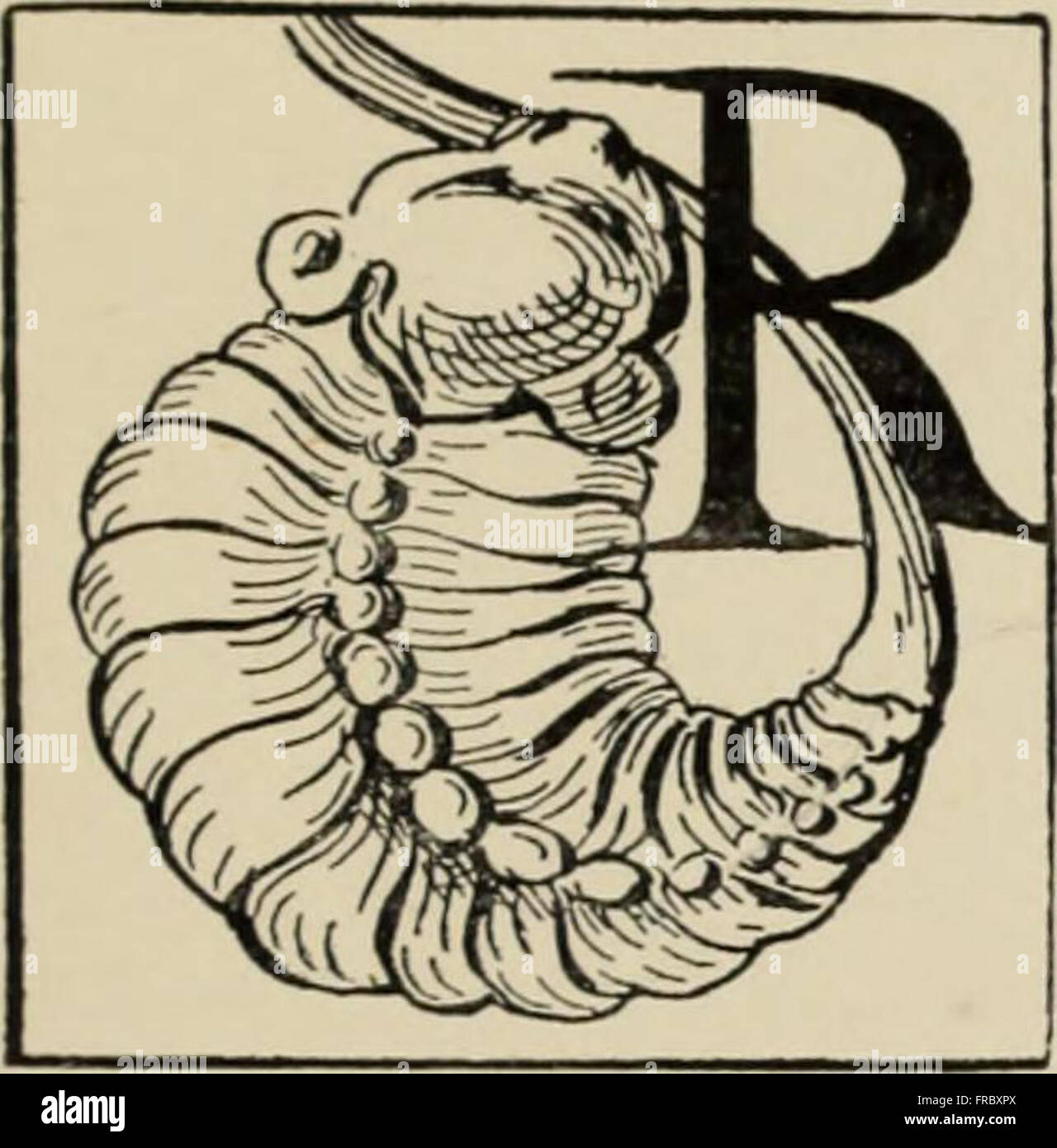 Grotesque borders hi-res stock photography and images - Alamy