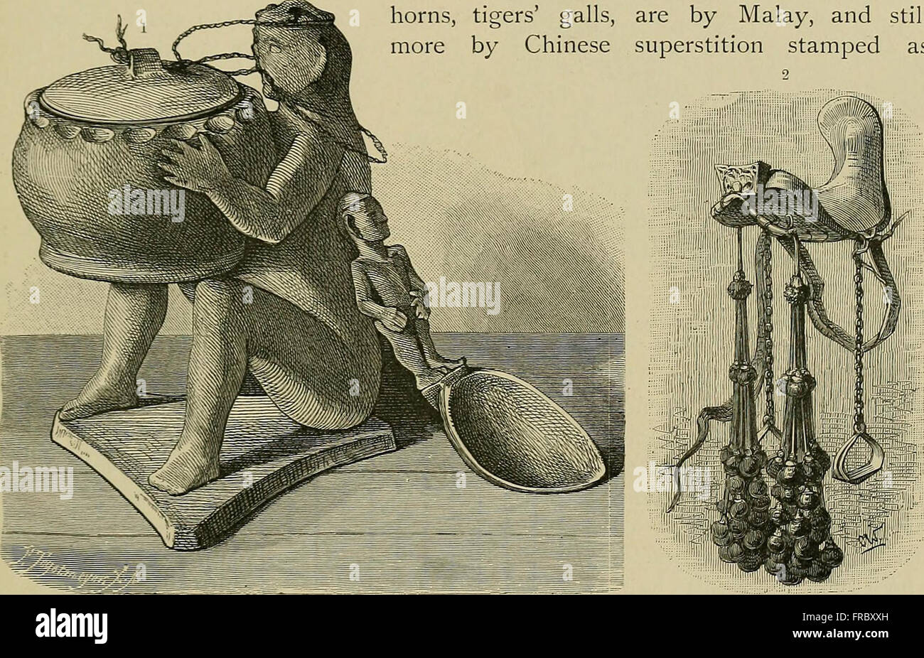 The History of Mankind (1896) explores the development of human ...