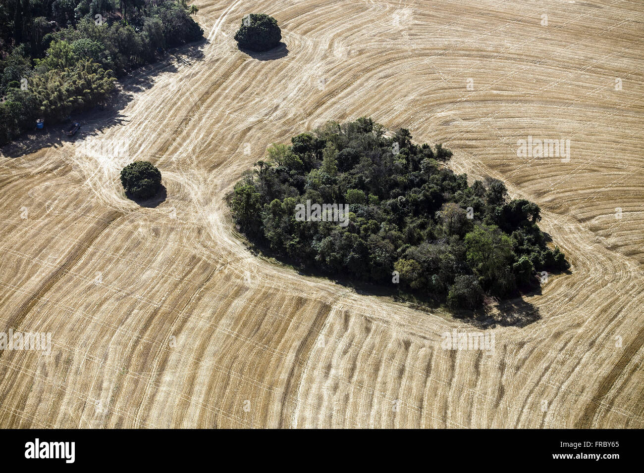 Aerial view of fields harvested recently and area of native forest ...