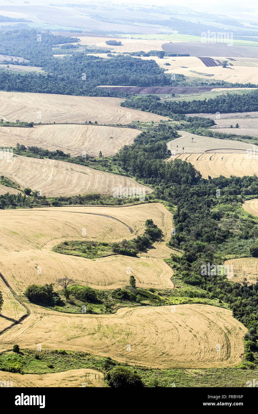 Aerial view of crops and native forest preserved - legal reserve Stock ...
