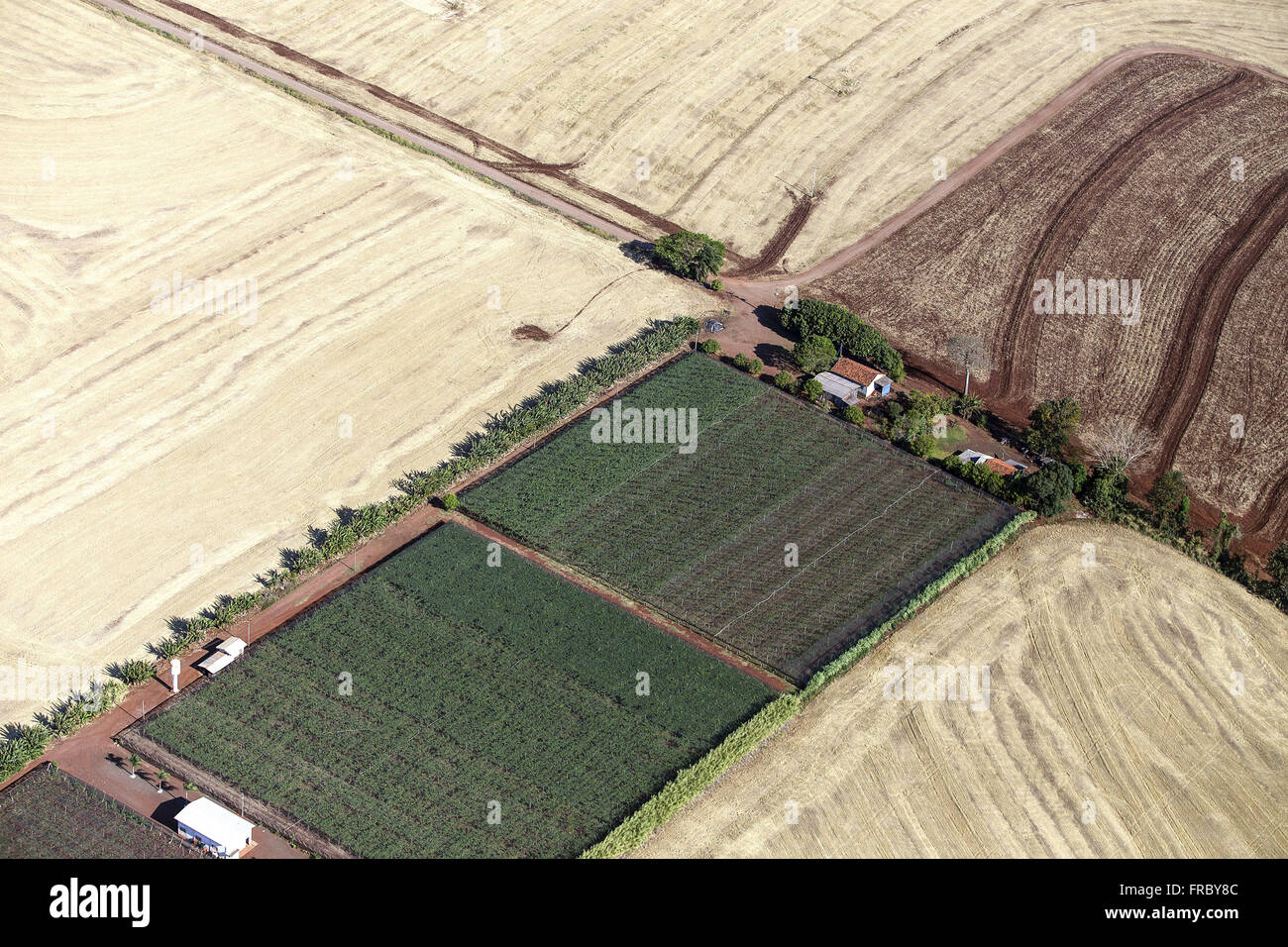 Aerial view of farm with greenhouses Stock Photo - Alamy