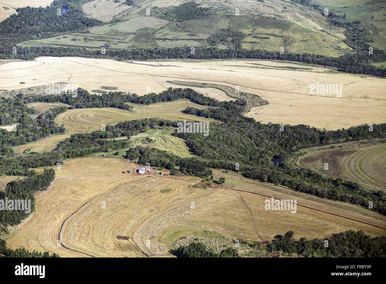 Aerial view of land being prepared for planting and native forest areas ...