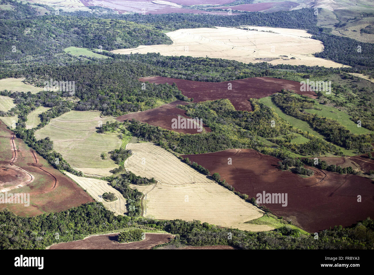 Aerial view of land being prepared for planting and native forest areas ...