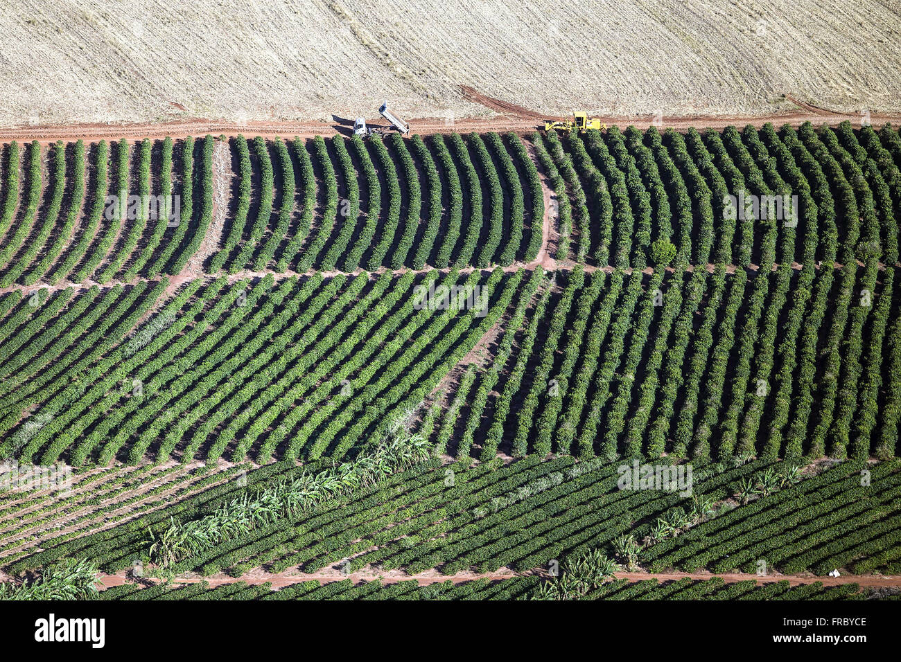 Aerial and coffee plantation hi-res stock photography and images - Alamy