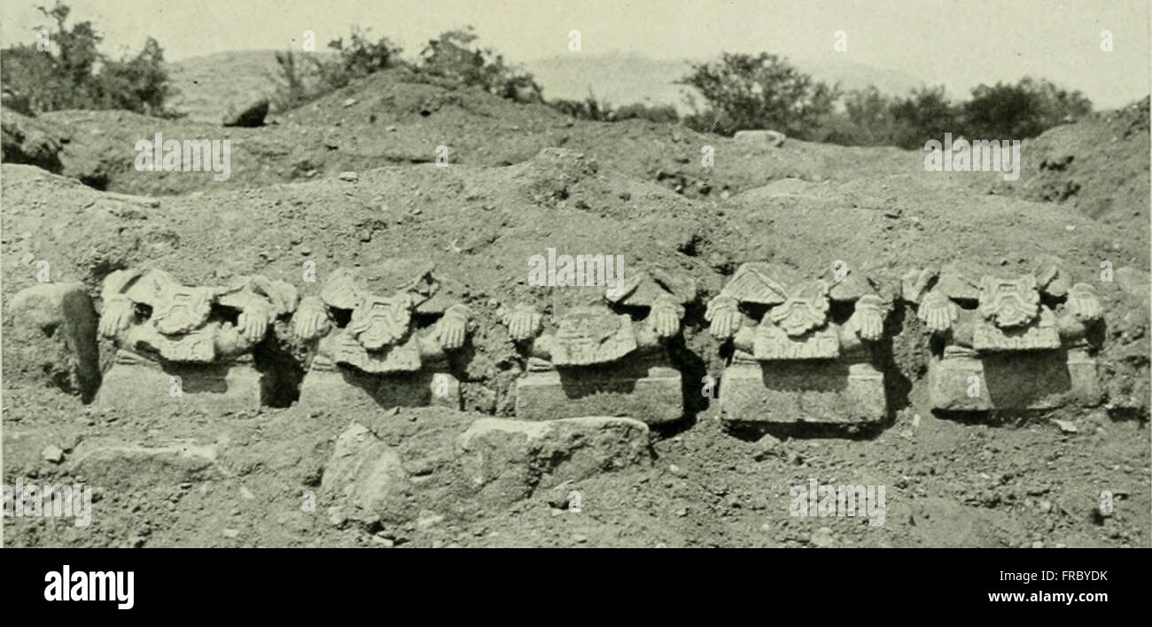 The American Museum Journal, spanning from the early 1900s to 1918 ...