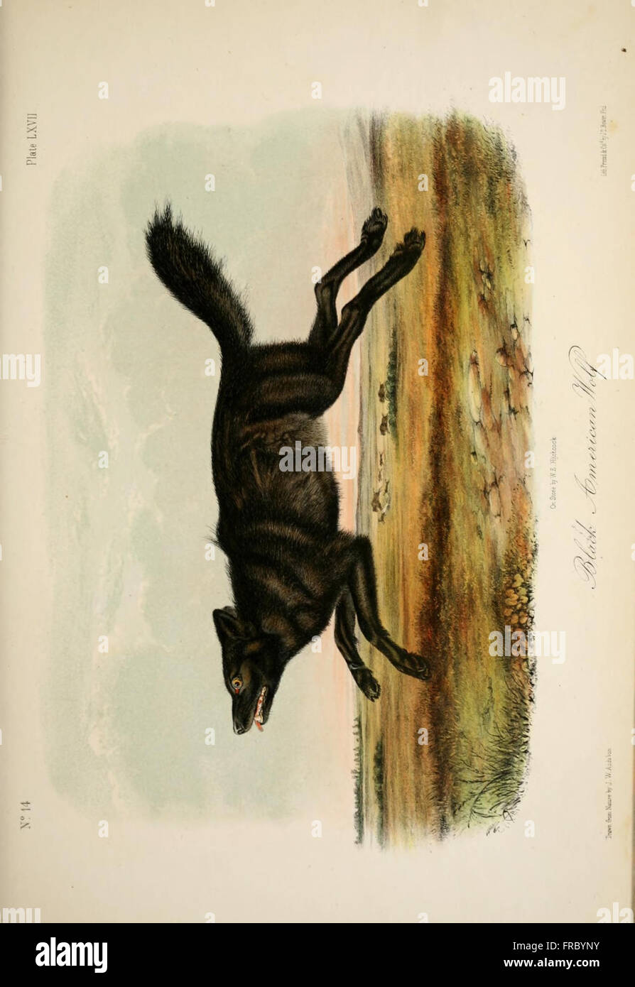 This work presents detailed illustrations and descriptions of the ...