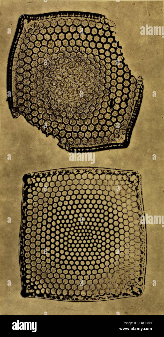 A publication from 1872, offering insight into advancements in optics ...