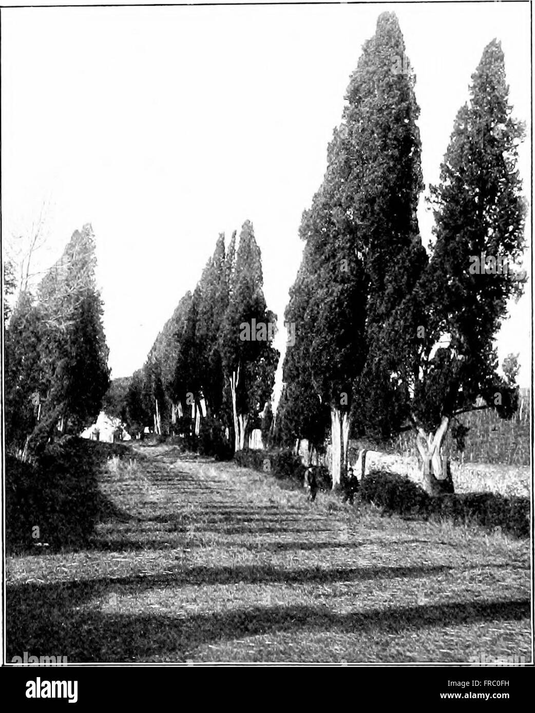 This book details the author's explorations through the Roman Campagna ...