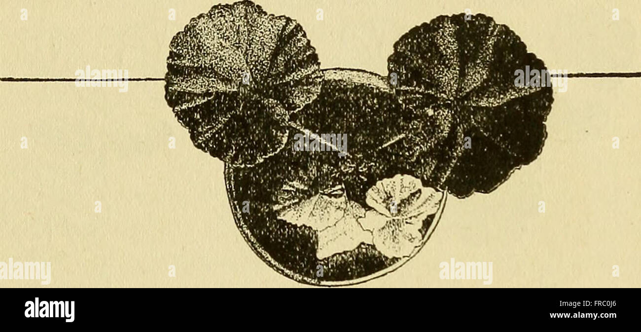 This 1919 work explores the physical principles behind heredity ...