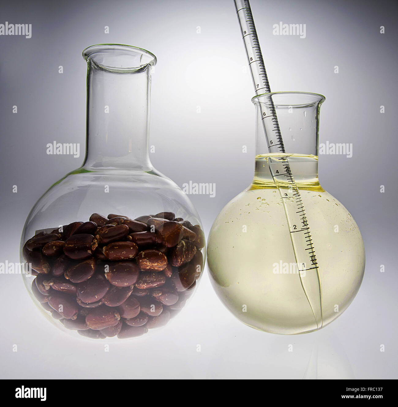 Biodiesel hi-res stock photography and images - Alamy