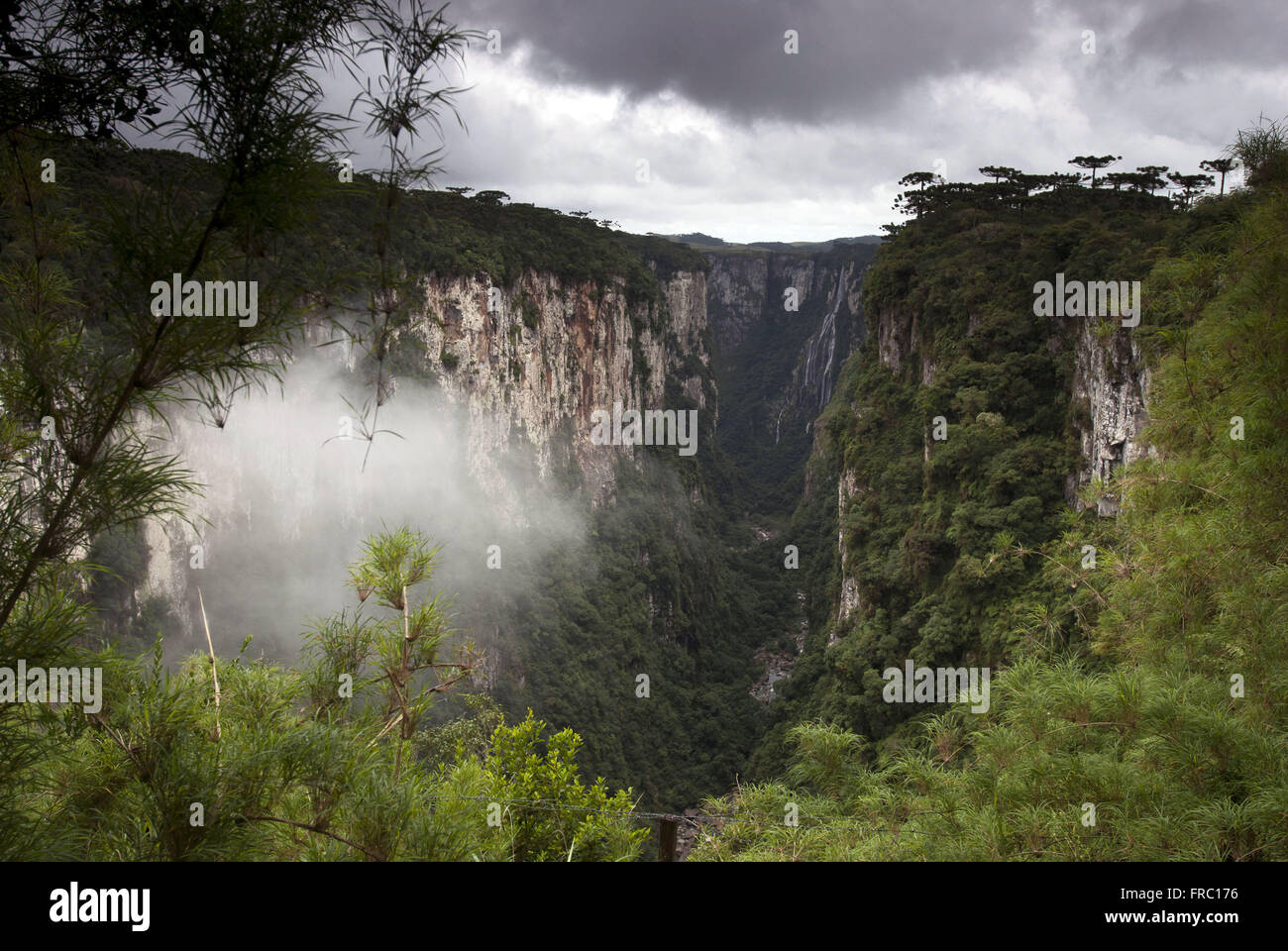 Canion Itaimbezinho in the National Park of Sierra Aparados - RS Stock ...