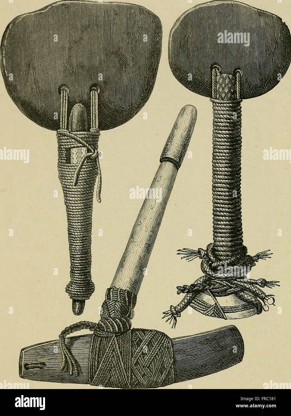 'The History of Mankind' (1896) provides a comprehensive examination of ...