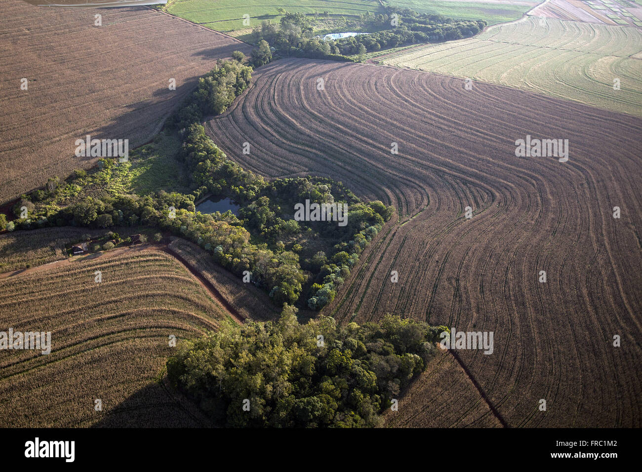Aerial view of rural property with agricultural diversity and forest ...