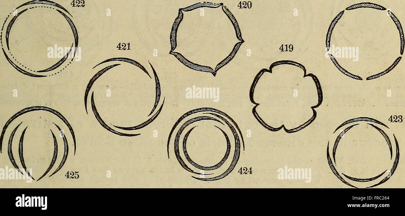 A botanical guide focusing on the structure, growth, and life of plants ...