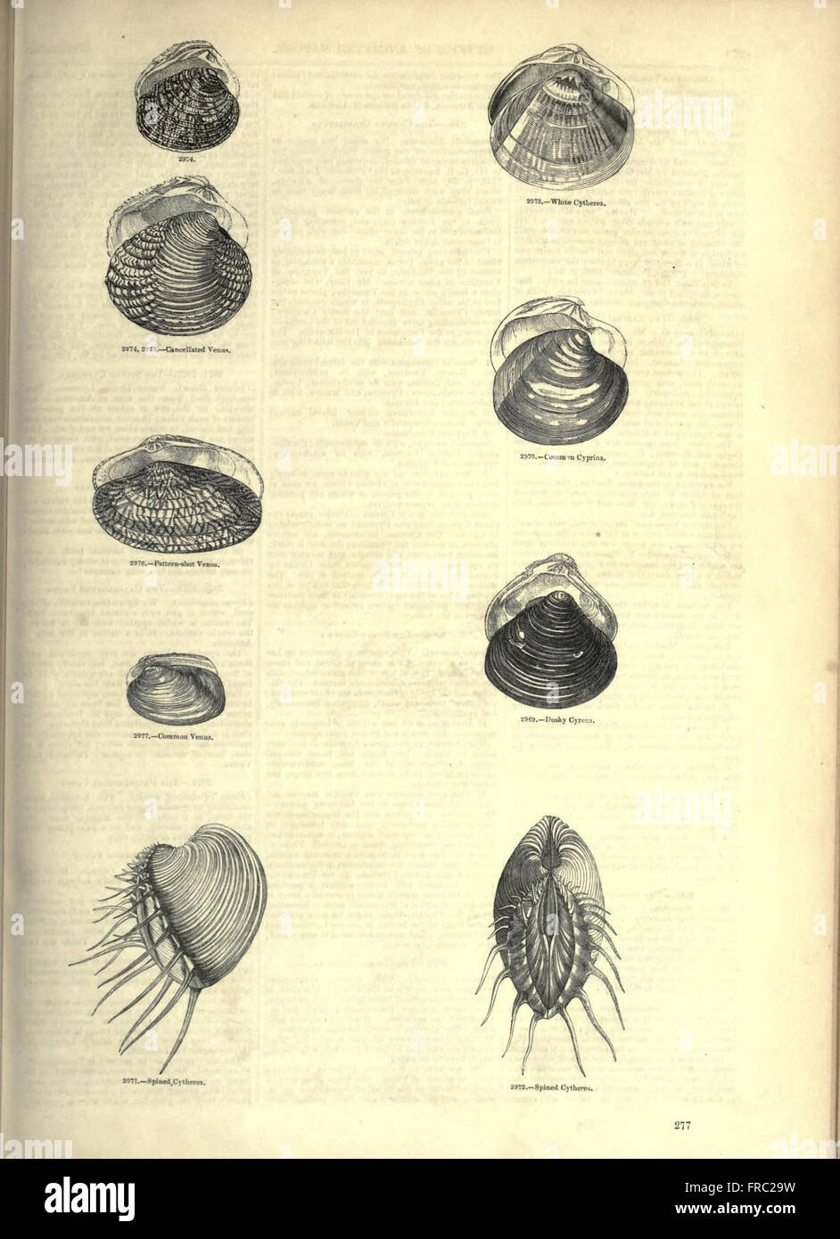 Animated data field hi-res stock photography and images - Alamy