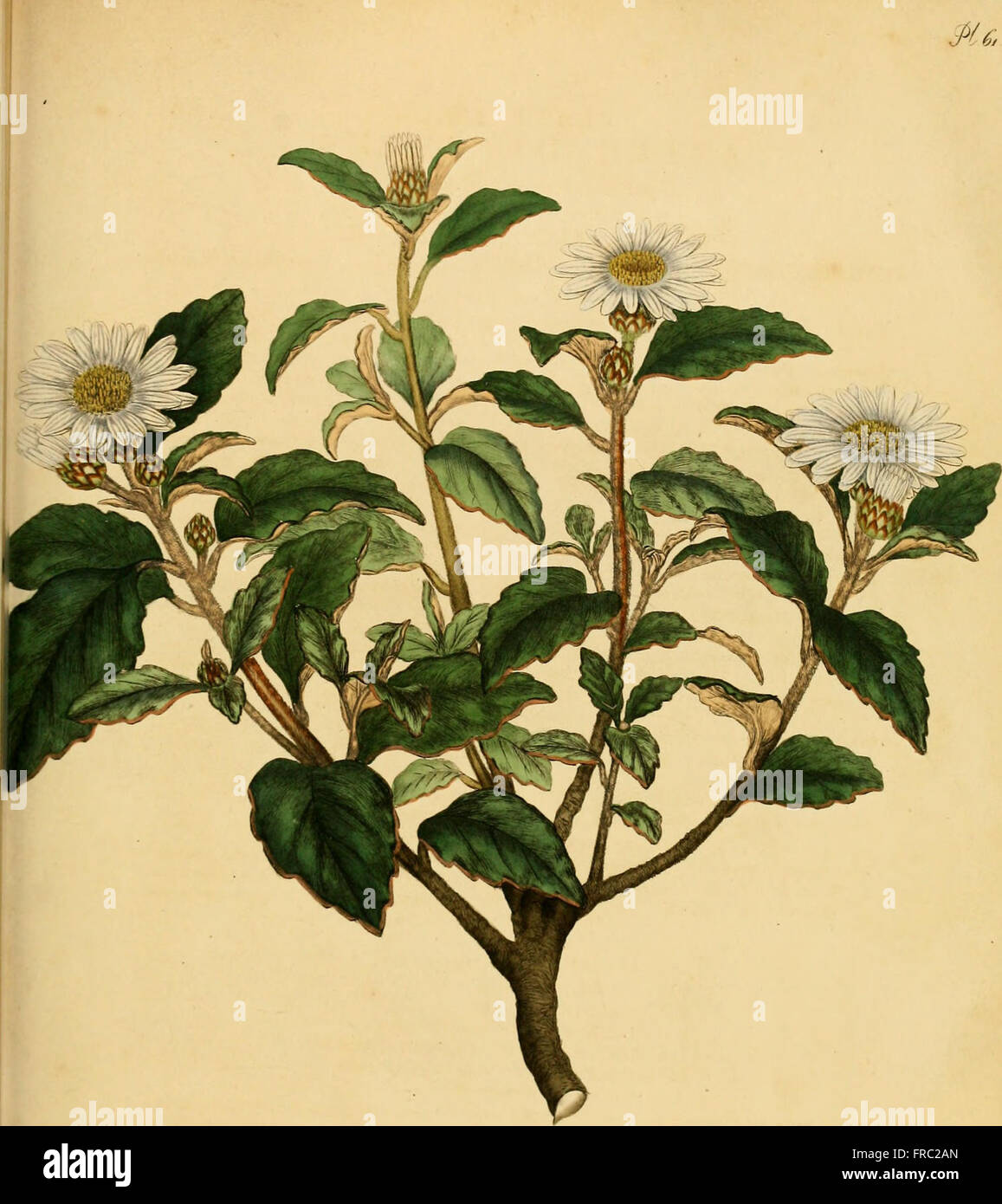 This botanical repository features new and rare plants, providing ...