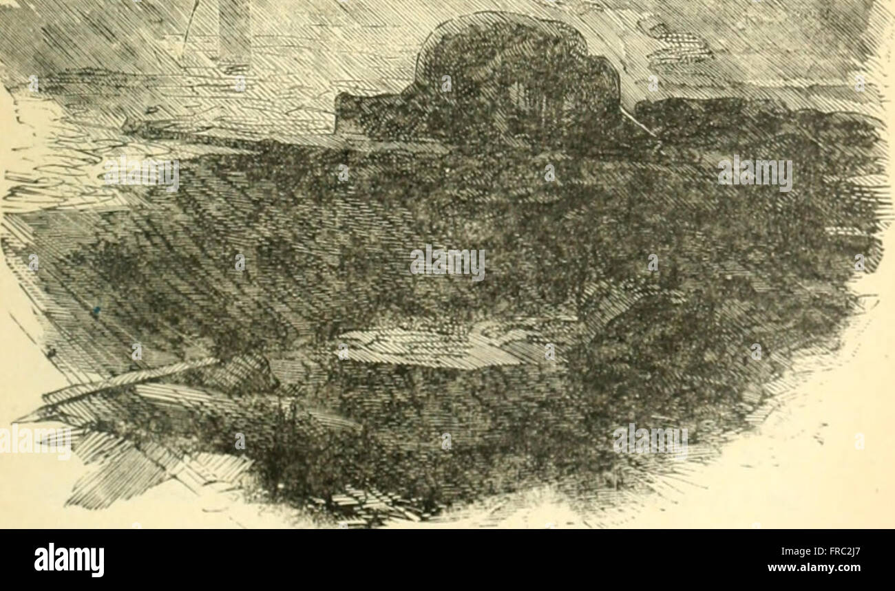 A 1890 compilation of Charles Dickens' literary works, featuring his ...