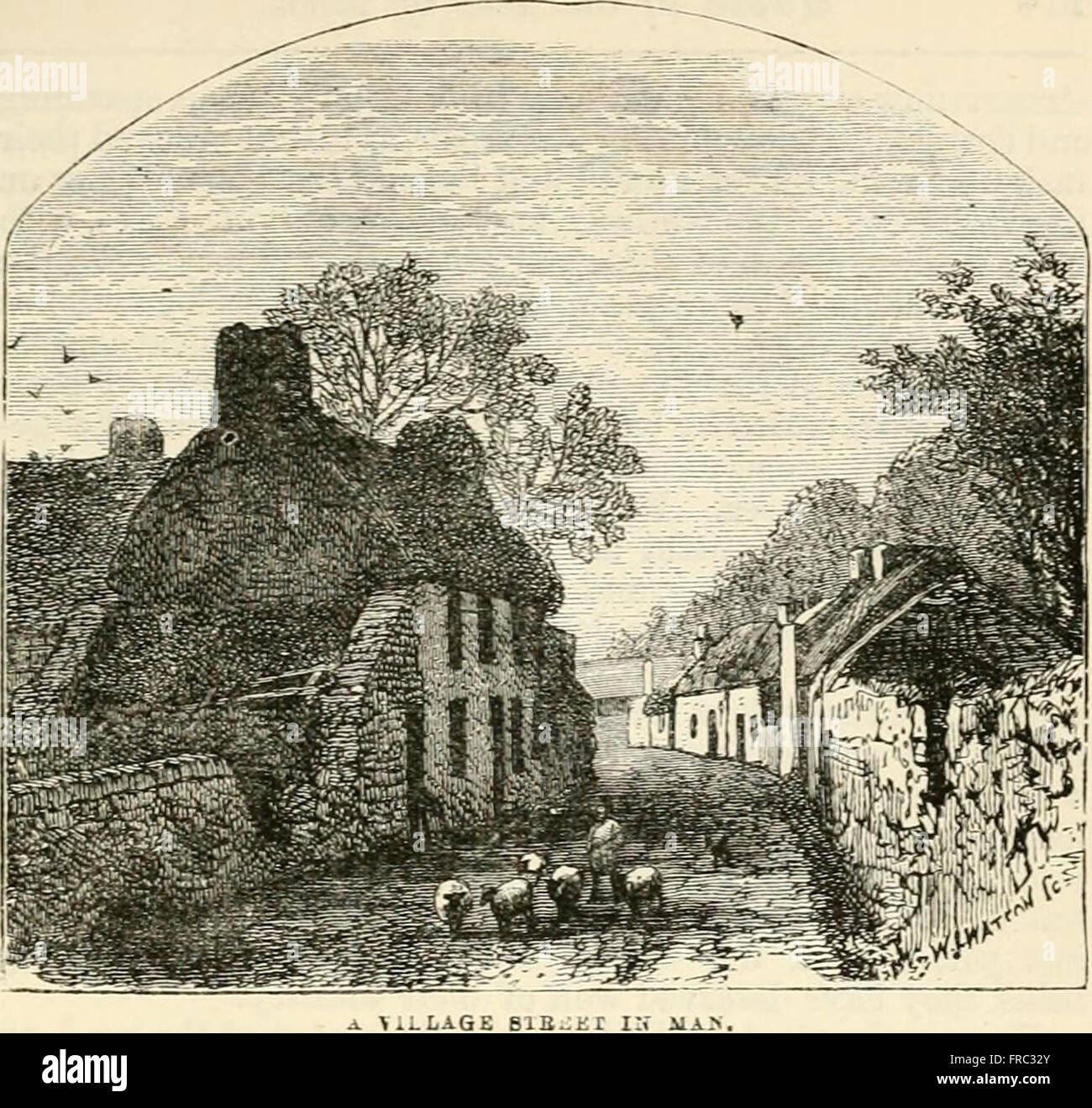 This guide provides detailed descriptions and illustrations of the Isle ...