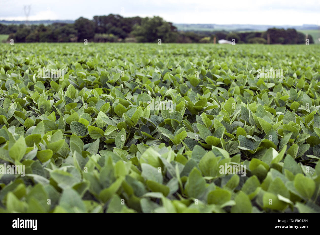 Selective crop hi-res stock photography and images - Alamy