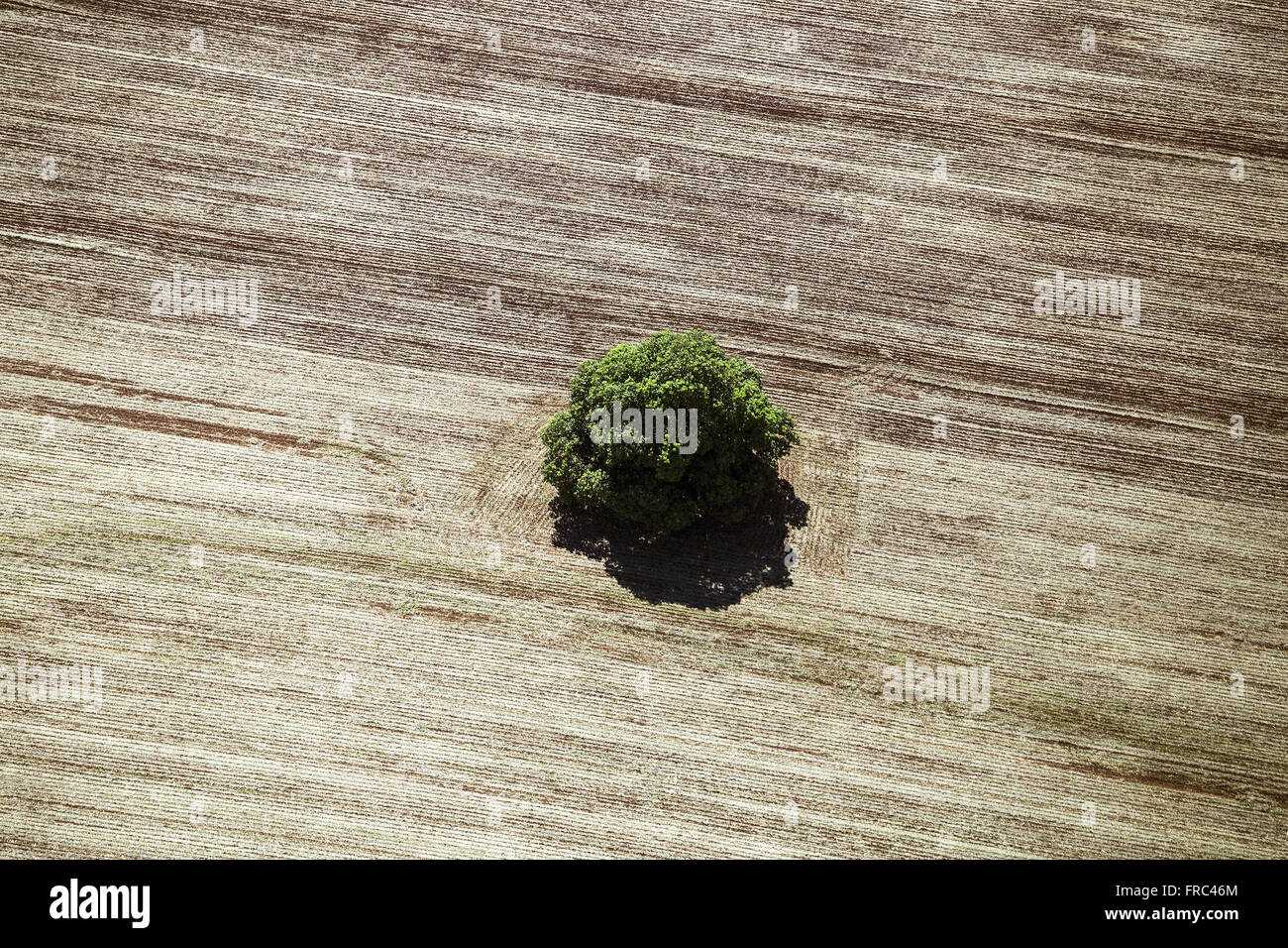 Direct planting hi-res stock photography and images - Alamy