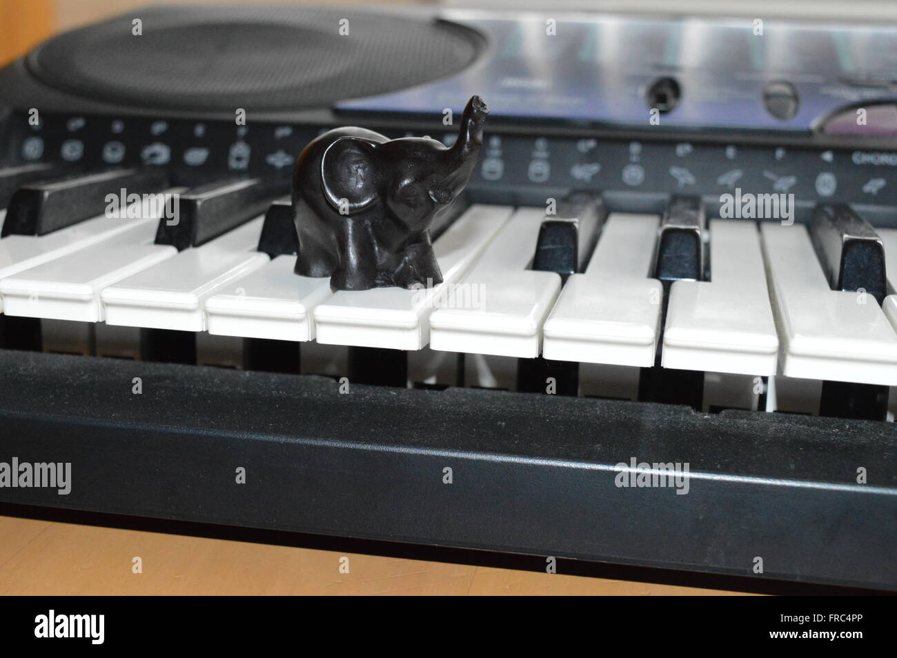 Elephant on Keyboard Stock Photo - Alamy