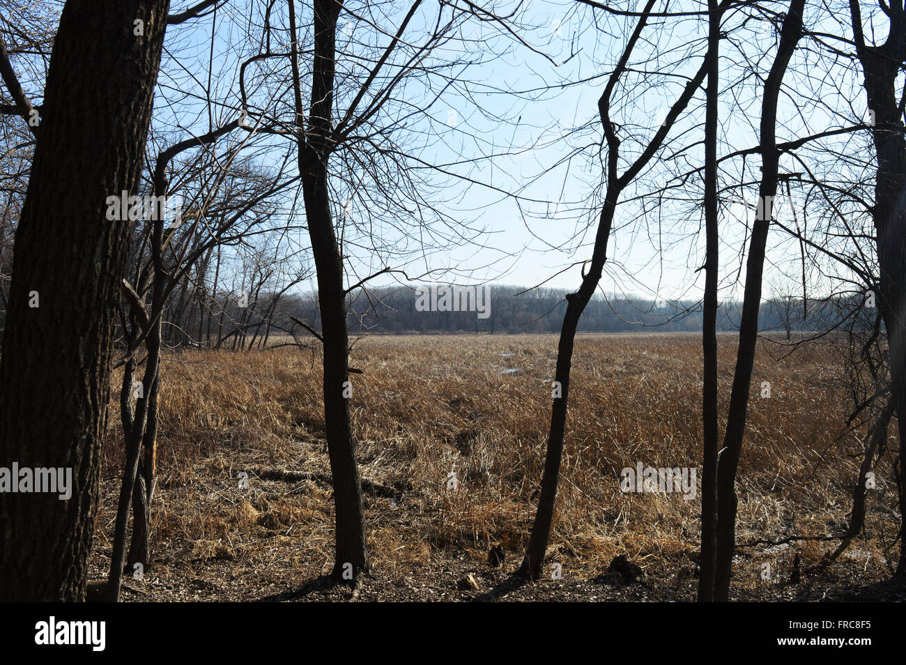 Wetland minnesota hi-res stock photography and images - Alamy