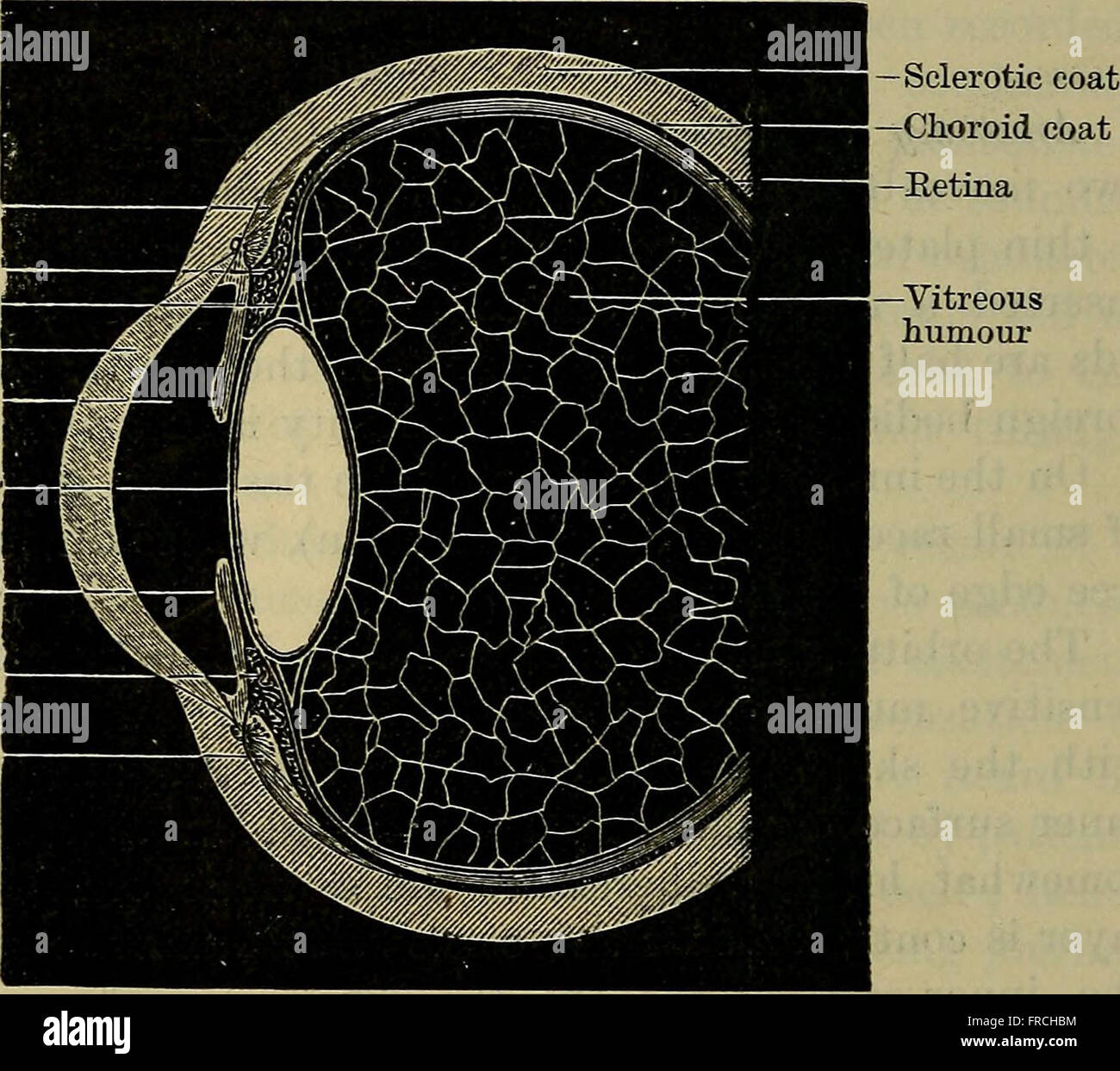 A 1892 reference work on human physiology, covering the functions and ...
