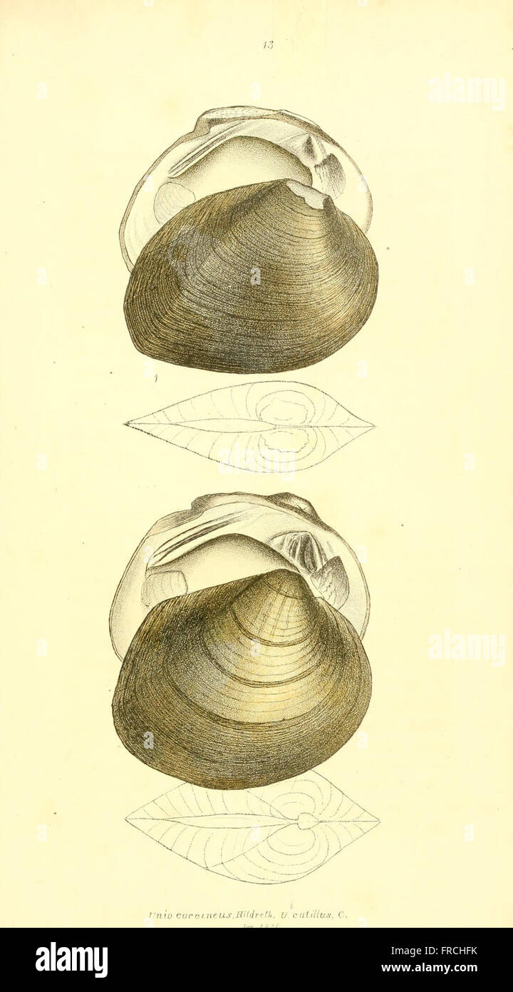 'Monography of the Family Unionidae' offers a detailed study of the ...