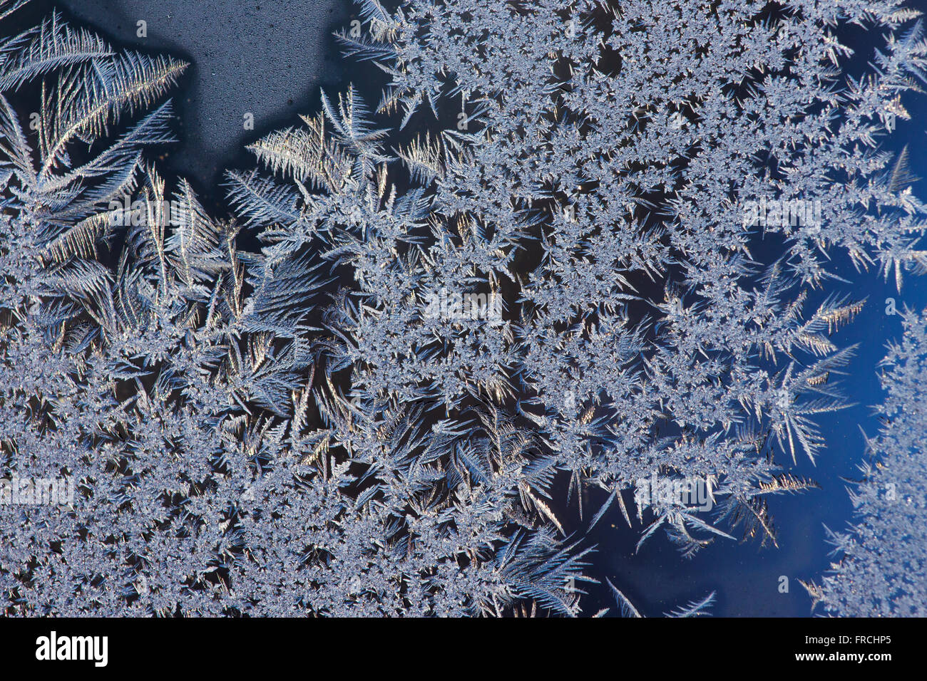 Detailed background with window ice flowers Stock Photo - Alamy