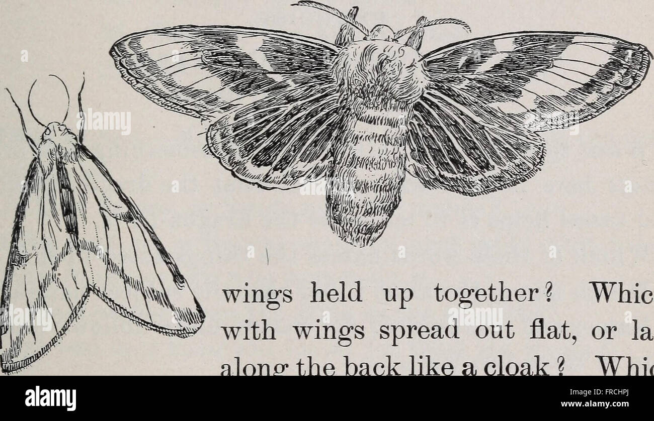 This book provides a structured approach to early English language ...