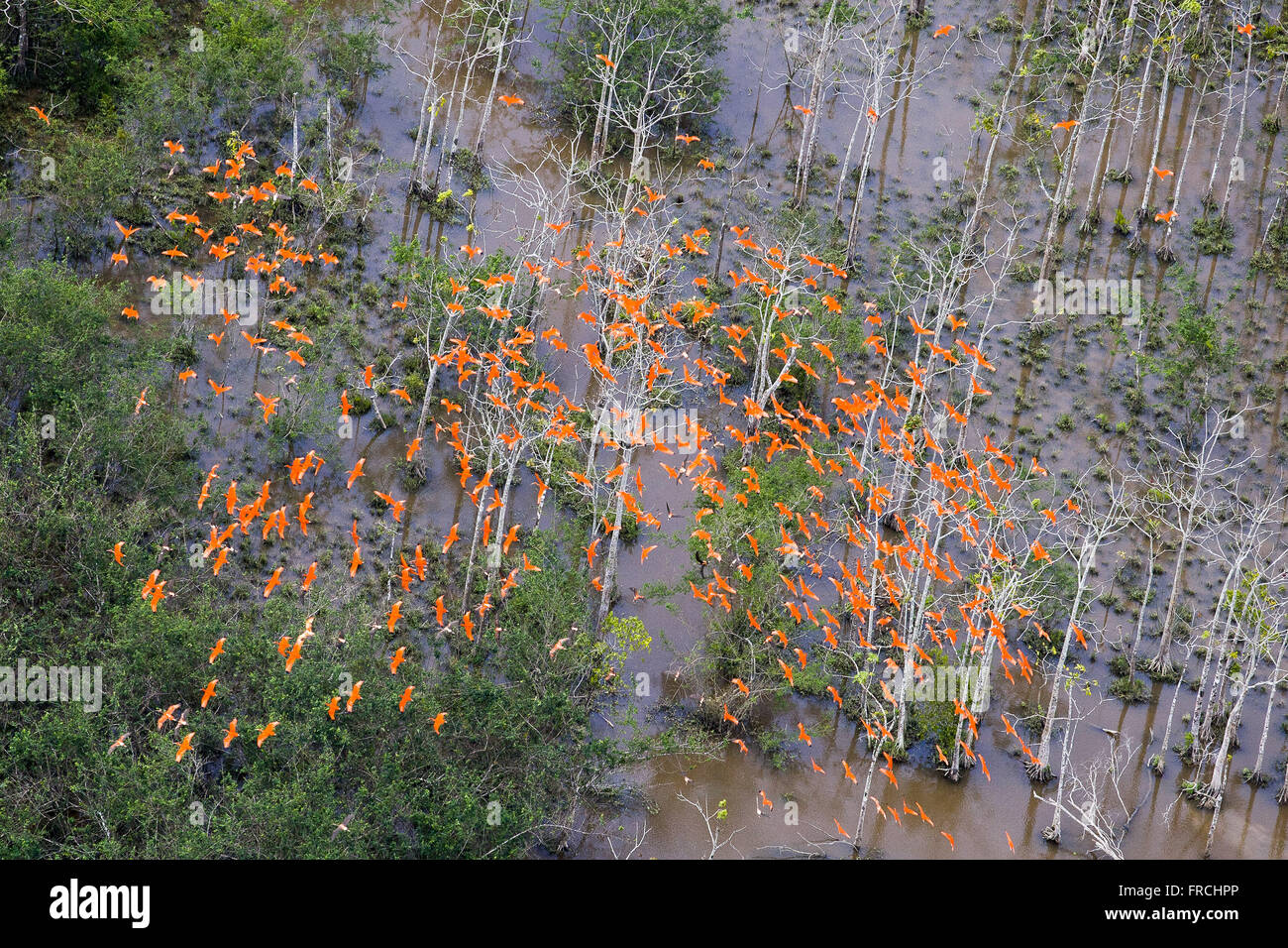 Aerial flying over flooded area hi-res stock photography and images - Alamy