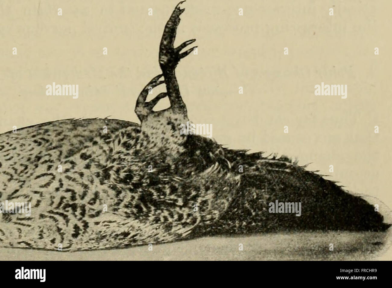 This 1899 work provides an outline of general physiology, covering the ...