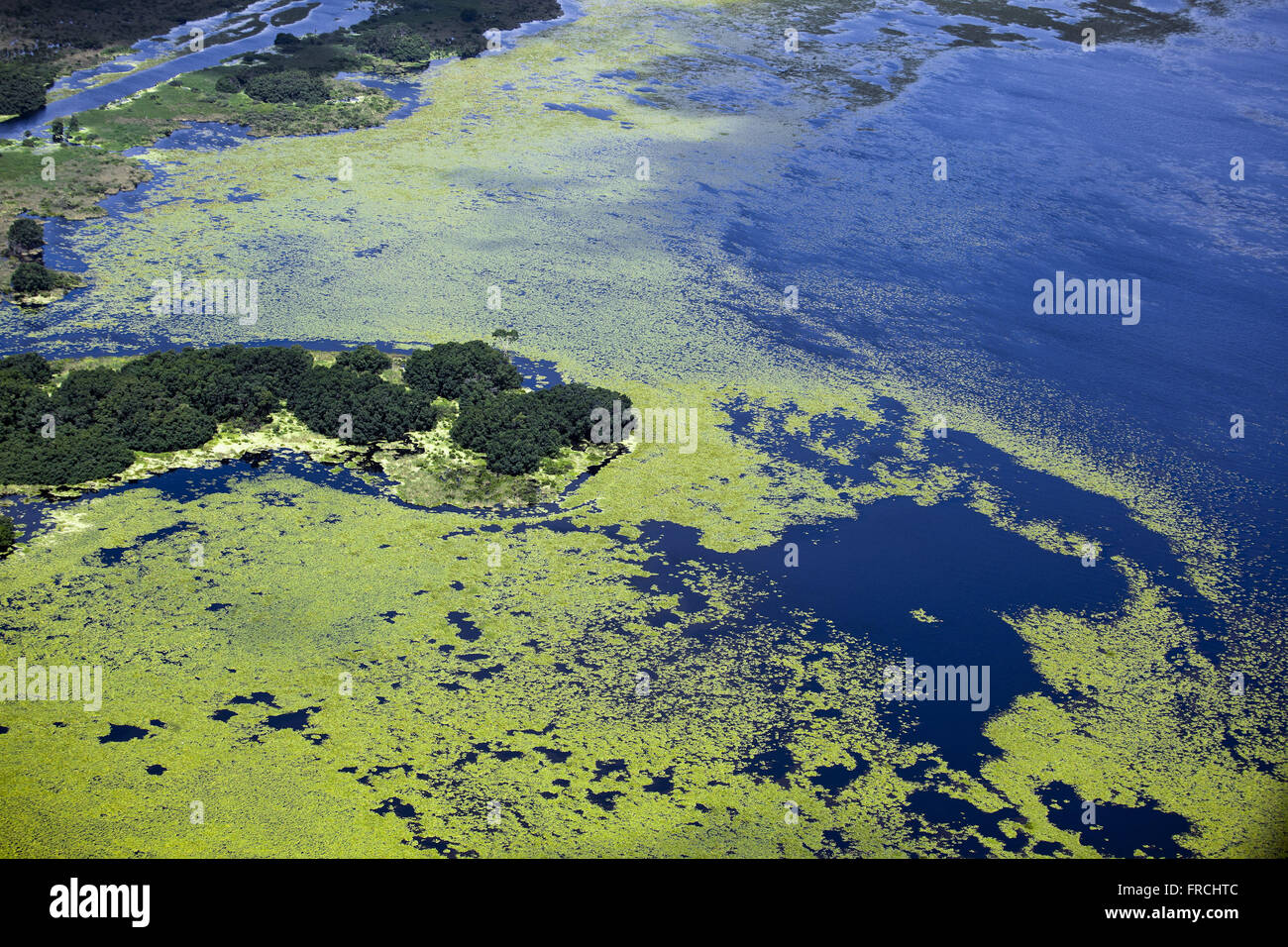 Aerial view of Reserva Biologica Piratuba Lake situated at the eastern ...