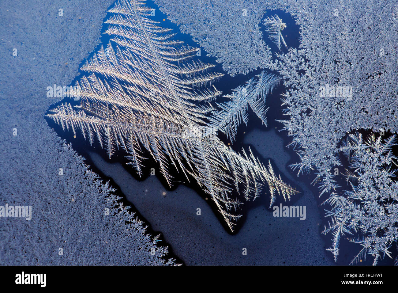 Detailed background with window ice flowers Stock Photo - Alamy