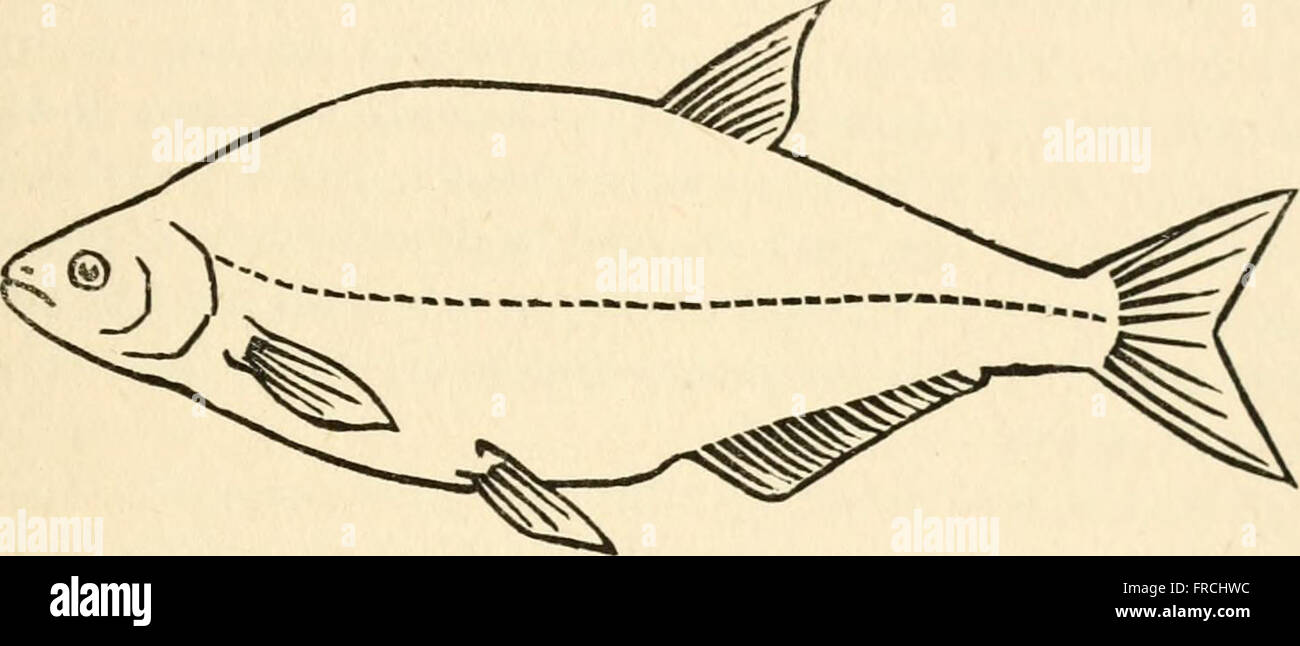 Map of china 1914 hi-res stock photography and images - Alamy