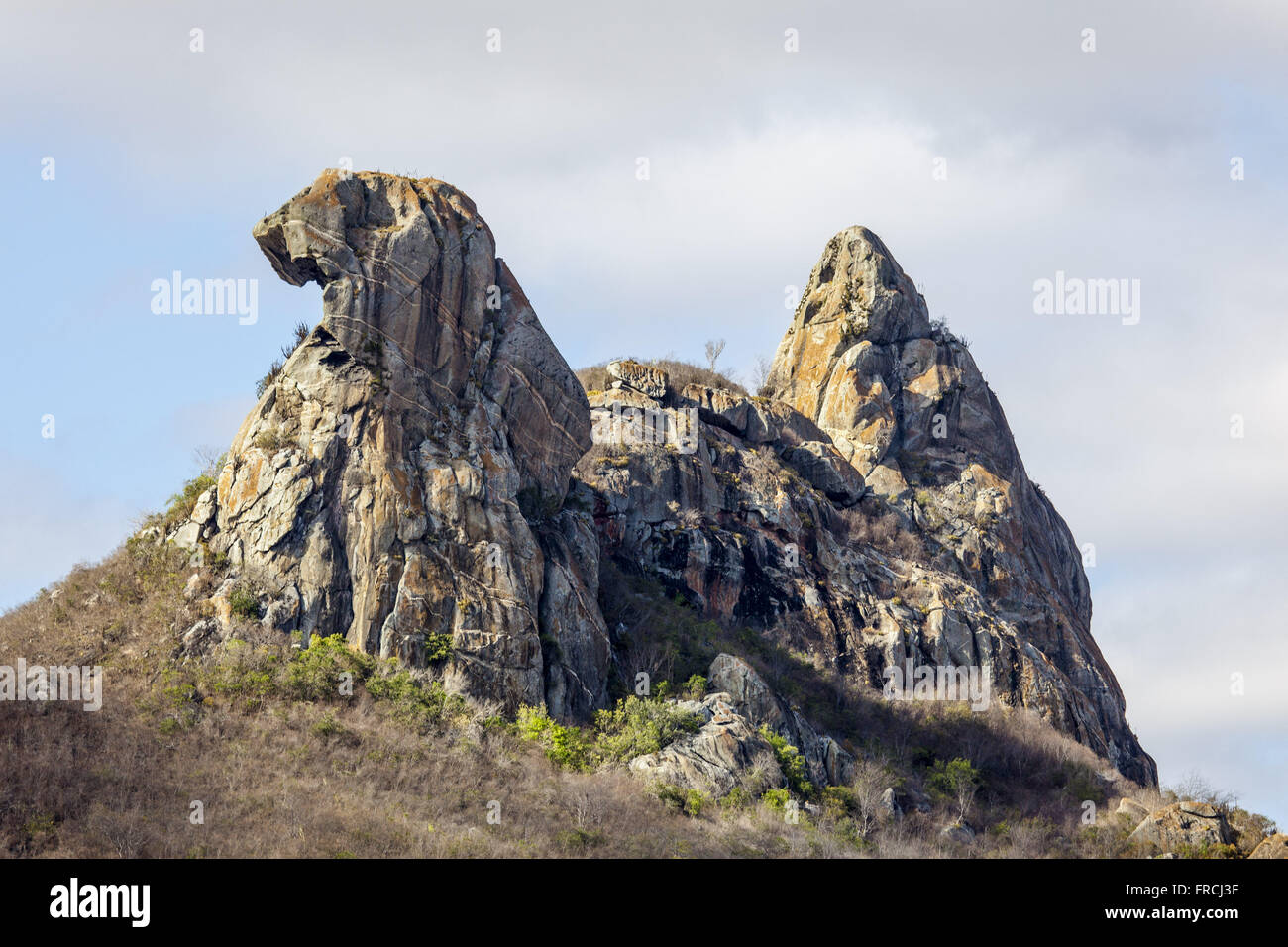 Stone Chicken nesting Stock Photo - Alamy