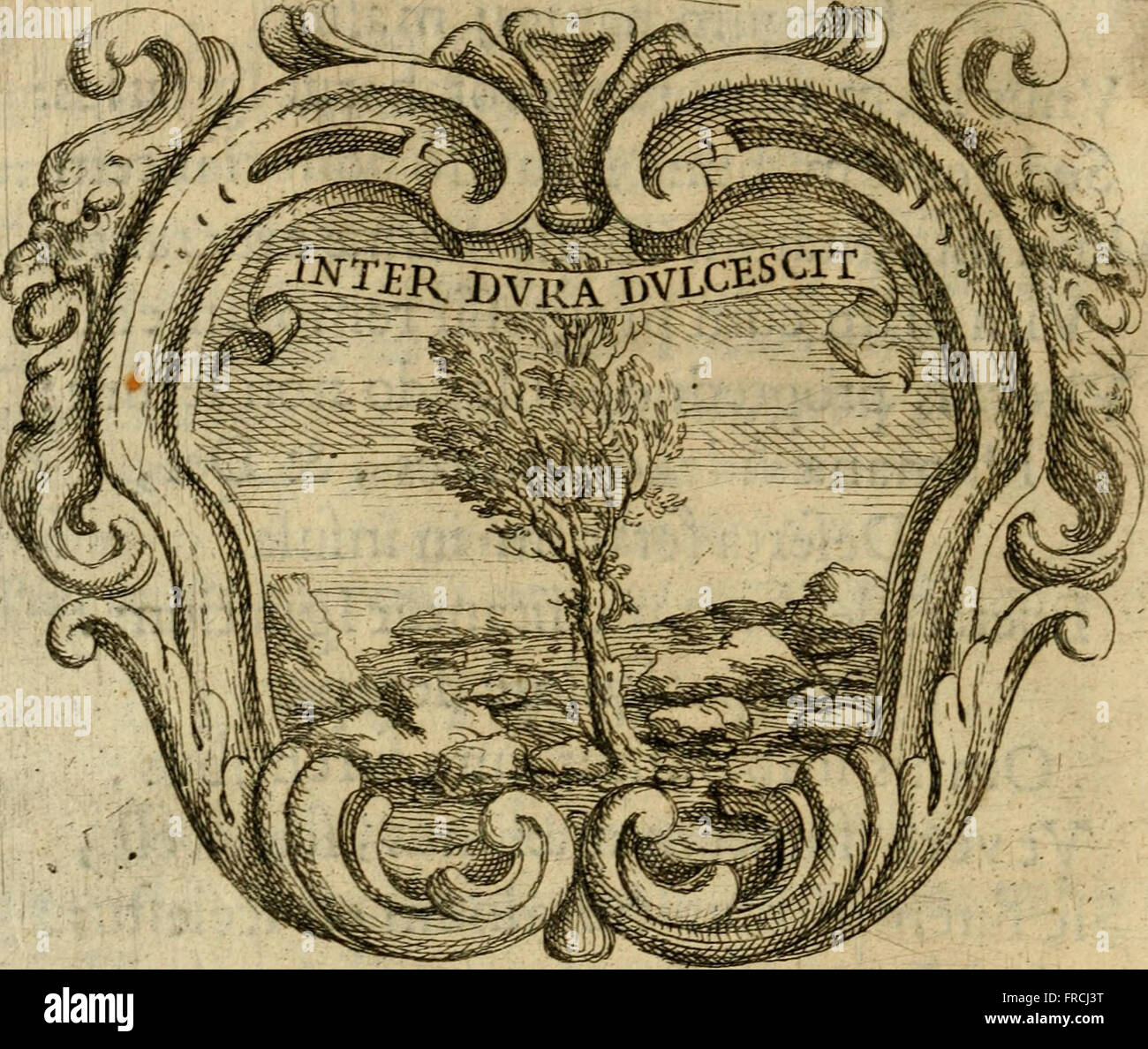 'Ignatius Insignium' (1655) is a collection of epigrams and encomiastic ...