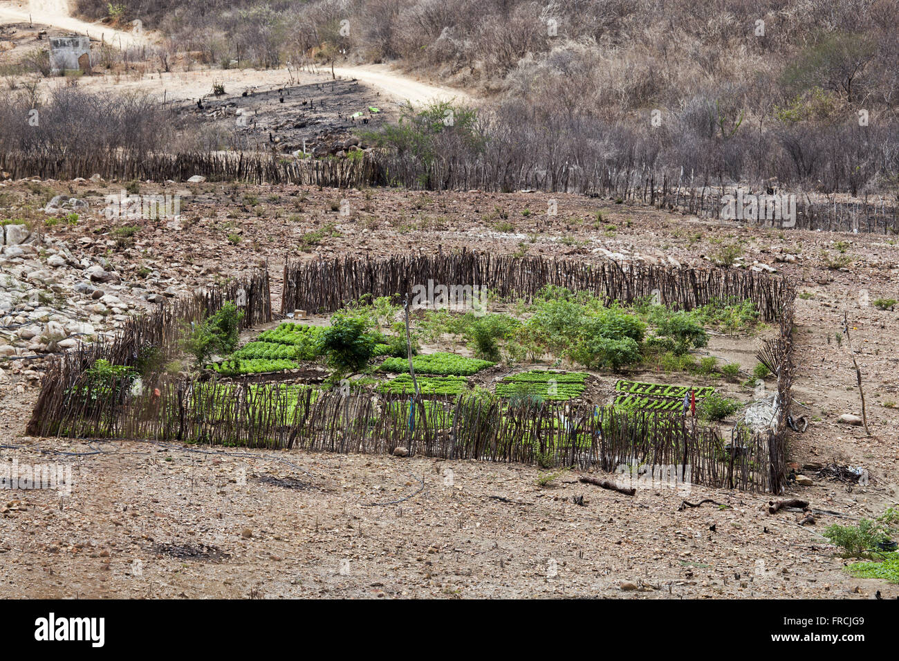 Subsistence Agriculture Stock Photos & Subsistence Agriculture Stock ...