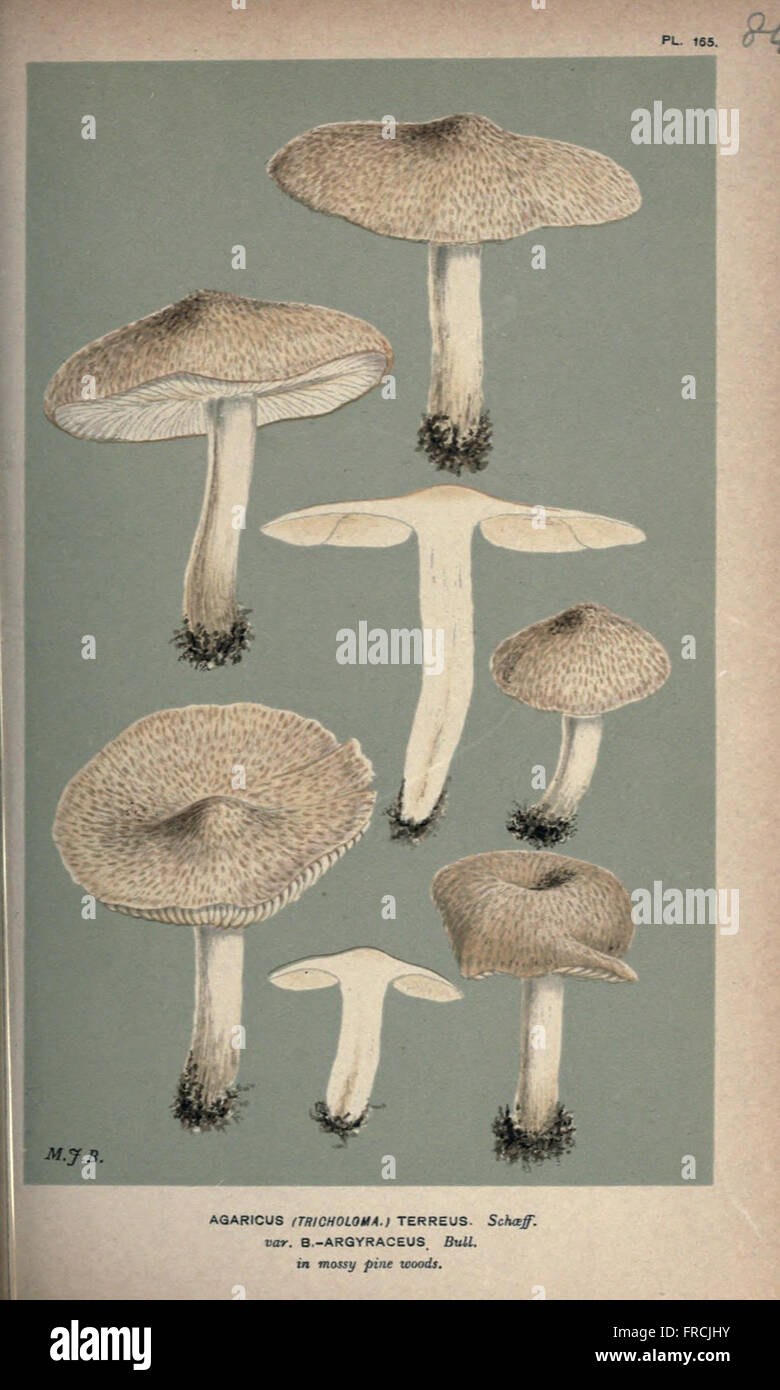 This illustrated volume serves as an atlas for the identification and ...
