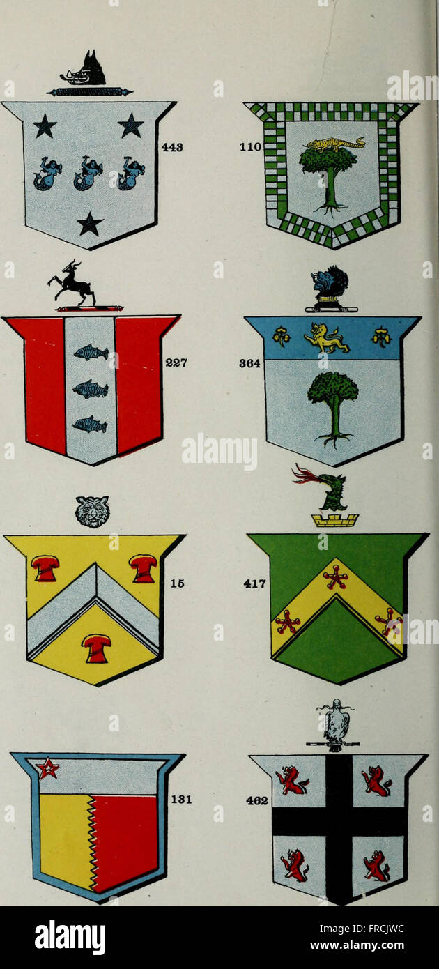 Published in 1915, this work explores the origins of the Irish people ...