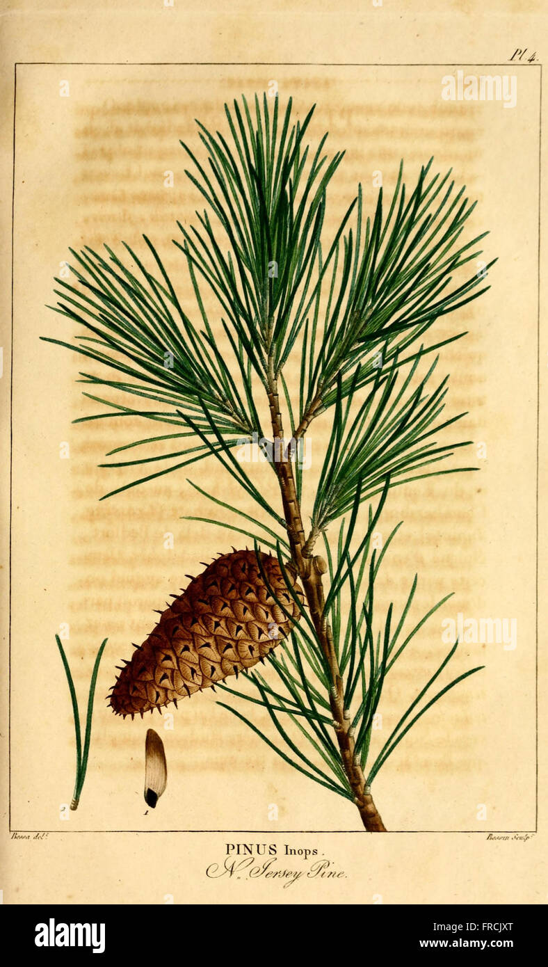 This work covers the history and classification of North American ...