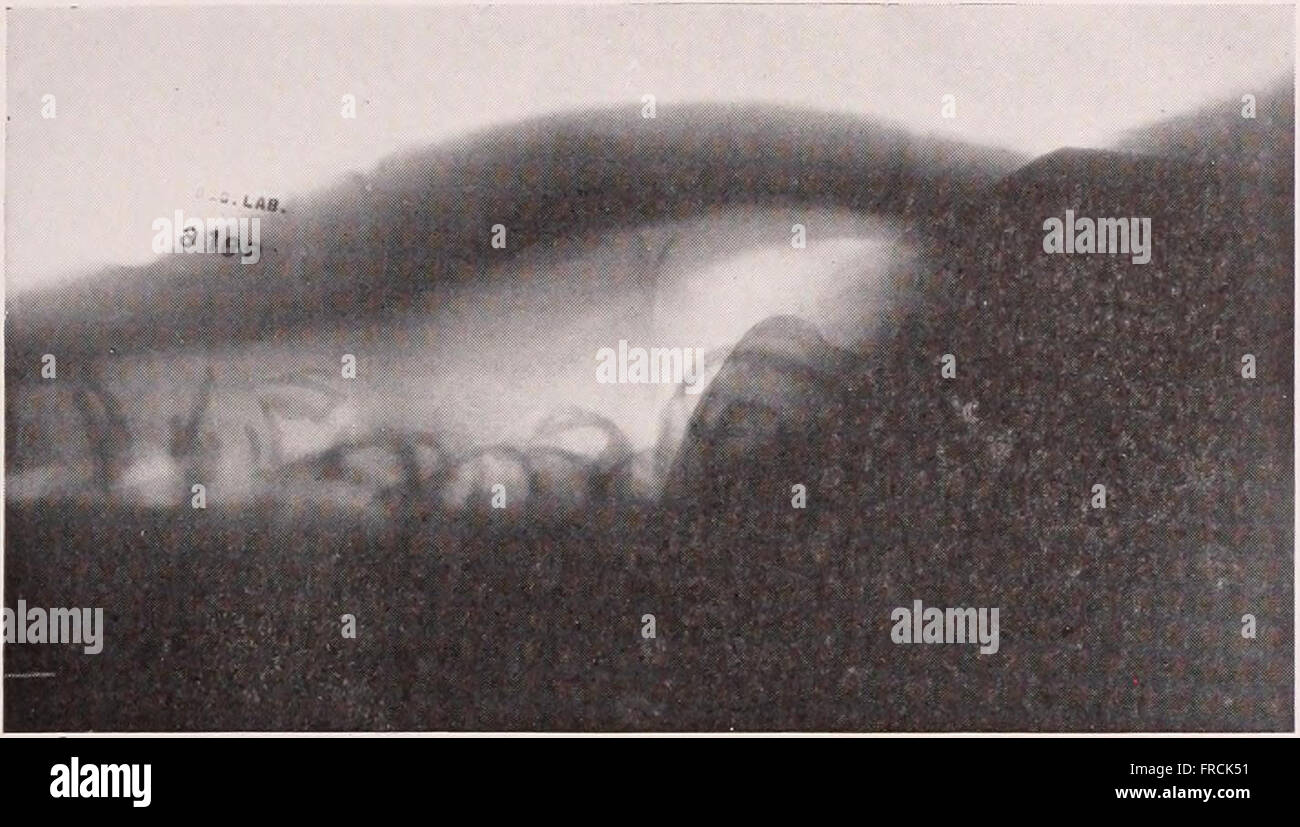 The 1919 Journal of Roentgenology, covering the development of X-ray ...