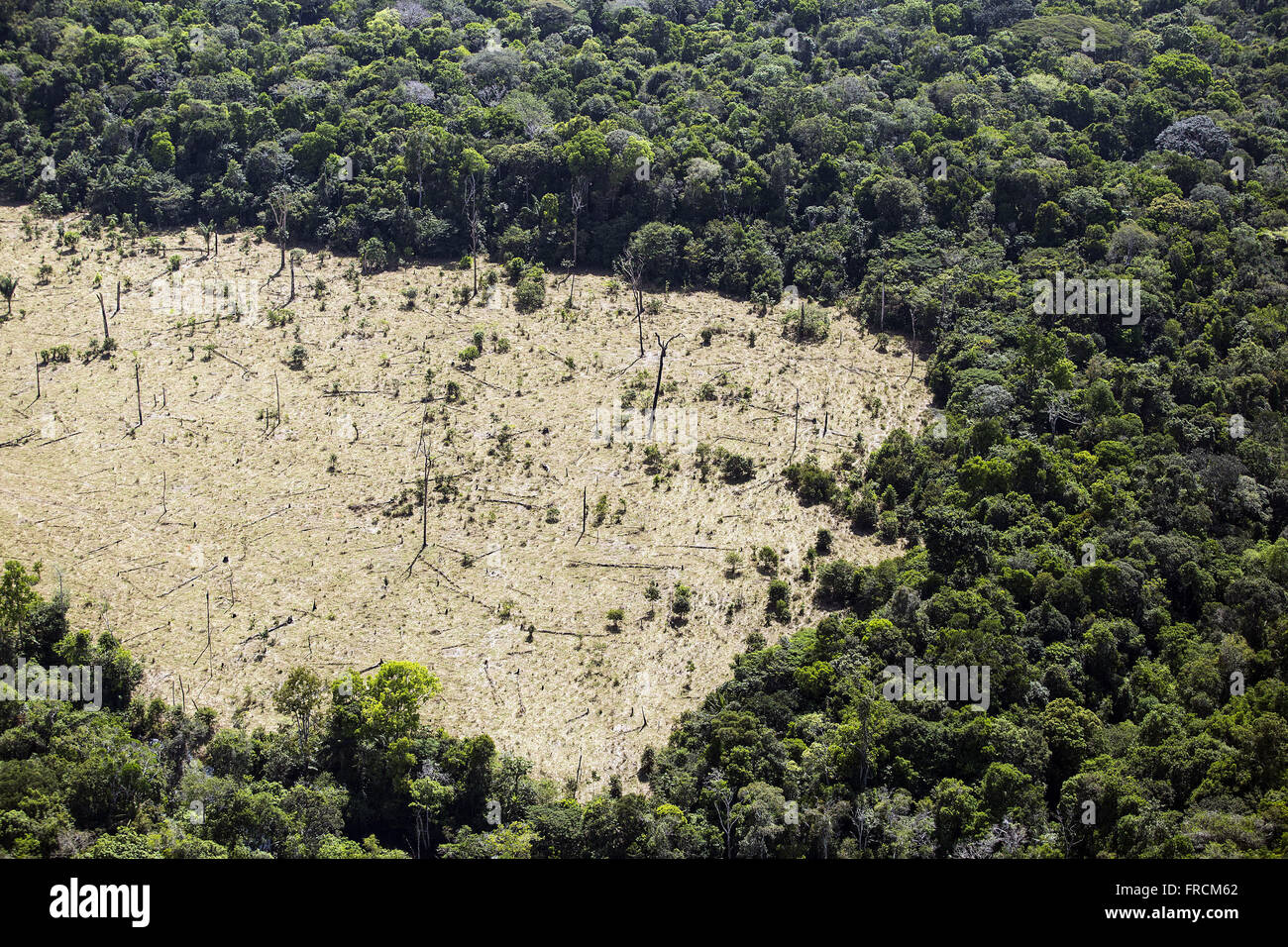Vista aérea de área desmatada em meio à floresta amazônica Stock Photo ...